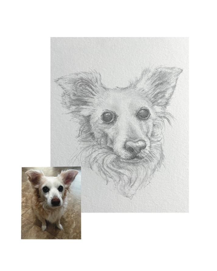 Pet Portrait Sketch, Custom Animal Drawing, Dog Portrait from Photo, C ...