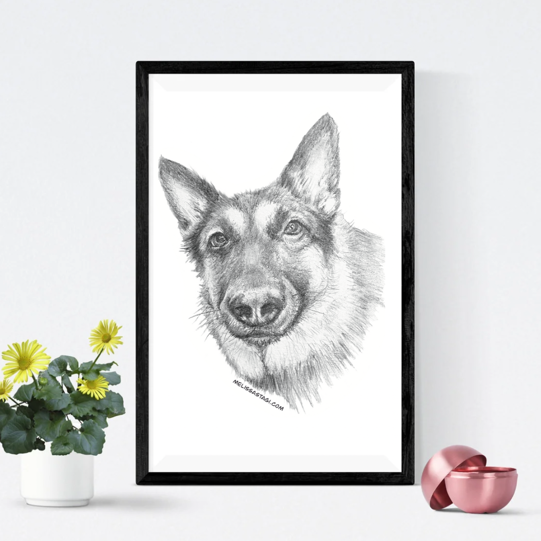 Pet Portrait Sketch, Custom Animal Drawing, Dog Portrait from Photo, C ...